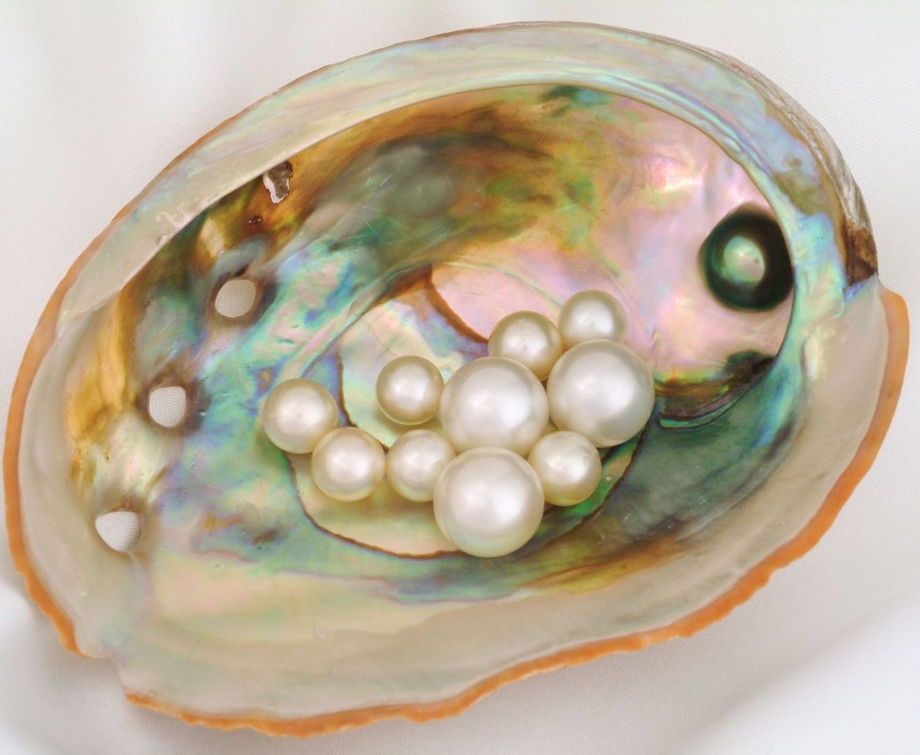 pérl blog - pearl education – p é r l