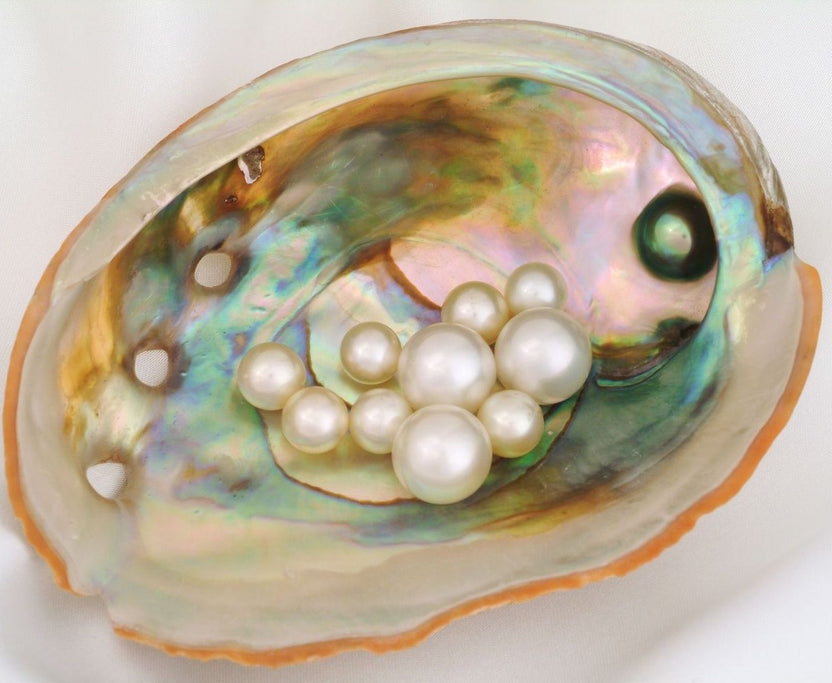 pérl blog - pearl education – p é r l